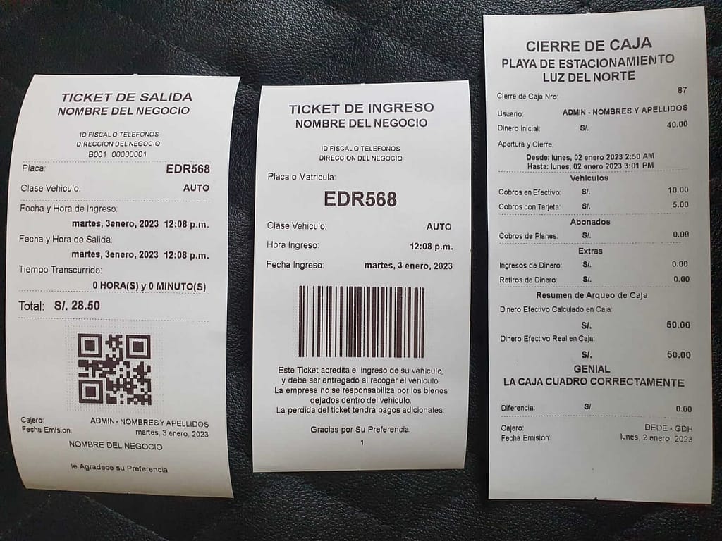 Sistema de Estacionamientos de Vehiculos - Parqueadero y Playa